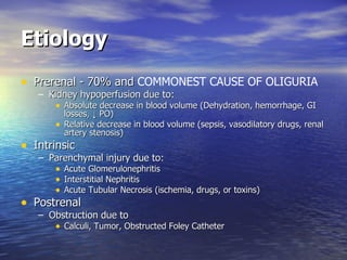 17. Oliguria In The Postoperative Patient | PPT