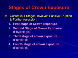 17-Oral Mucosa - Dentogingival Junction.ppt