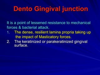 17-Oral Mucosa - Dentogingival Junction.ppt