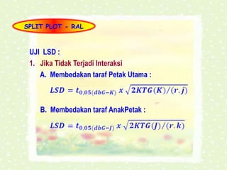 17 rancangan-petak-terbagi-split-plot | PDF