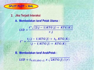 17 rancangan-petak-terbagi-split-plot | PDF