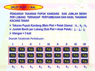 17 rancangan-petak-terbagi-split-plot | PDF