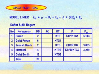 17 rancangan-petak-terbagi-split-plot | PDF