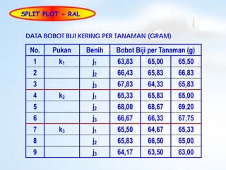 17 rancangan-petak-terbagi-split-plot | PDF