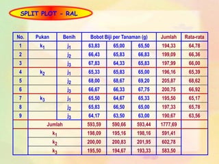 17 rancangan-petak-terbagi-split-plot | PDF