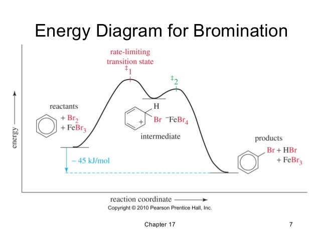 In a benzene reaction why does the catalyst form a bond and then break ...