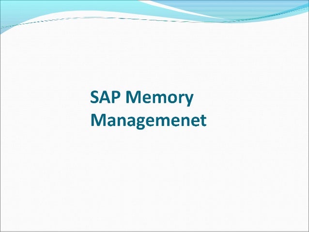17 Sap Memory Management 1