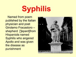 17 spirochetes | PPT