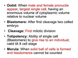 17 ther 608 early embryogensis | PPT