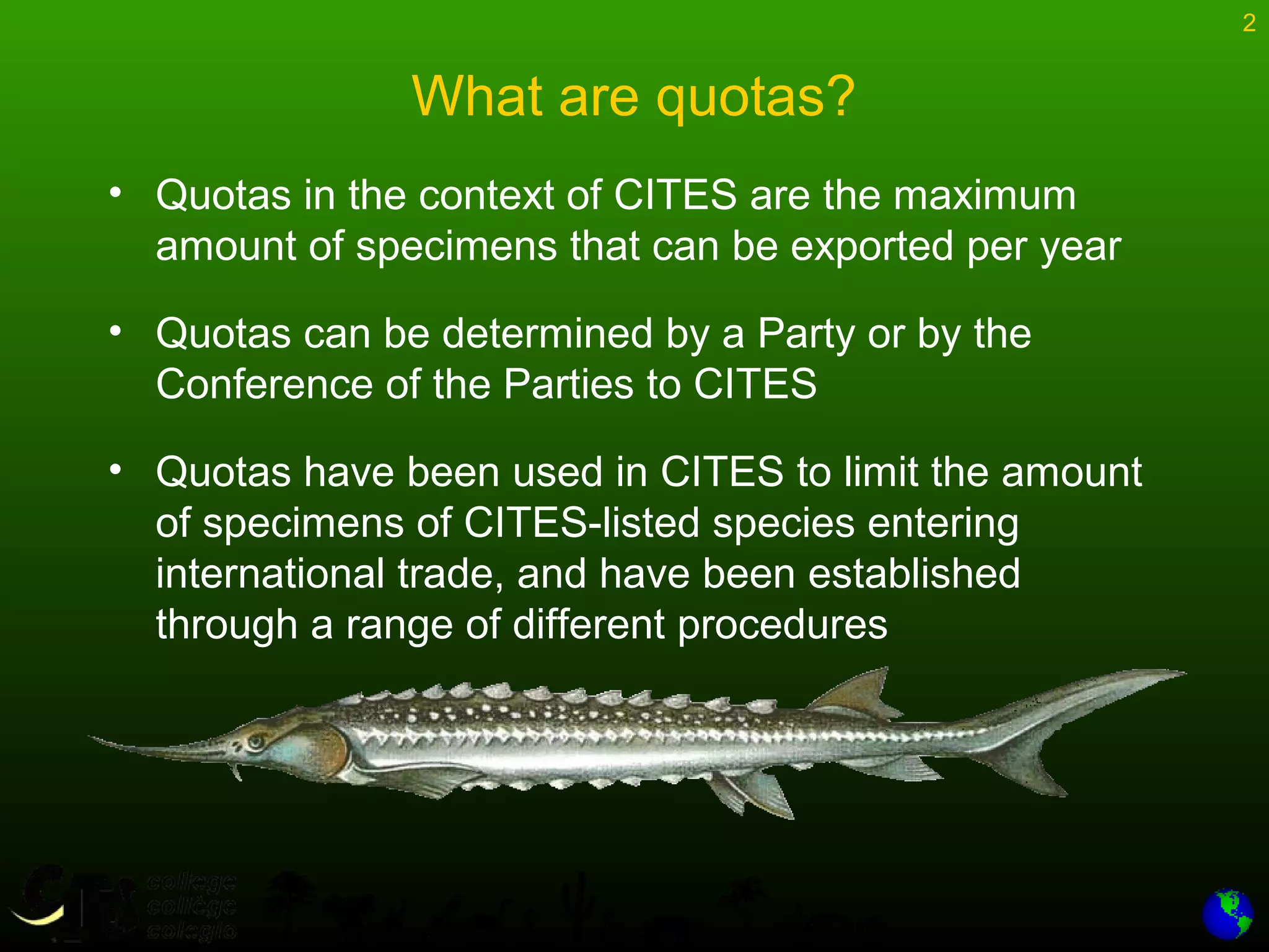 The Role of Quotas | PPT