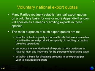 The Role of Quotas | PPT