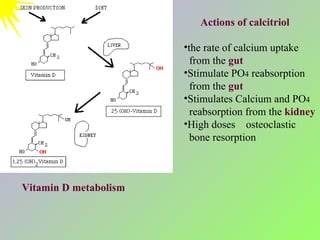 17. thyroid gland | PPT