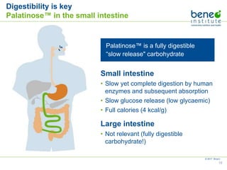 Low GI carbs – Can sugars play a role? The example of Palatinose™ (isomaltulose) | PPTX