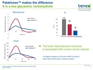 Low GI carbs – Can sugars play a role? The example of Palatinose™ (isomaltulose) | PPTX
