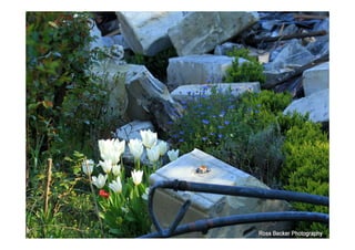 History in the making – Creating a digital archive of the Canterbury ...