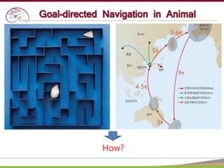 Computational Properties of the Hippocampus Increase the Efficiency of Goal-Directed Foraging ...