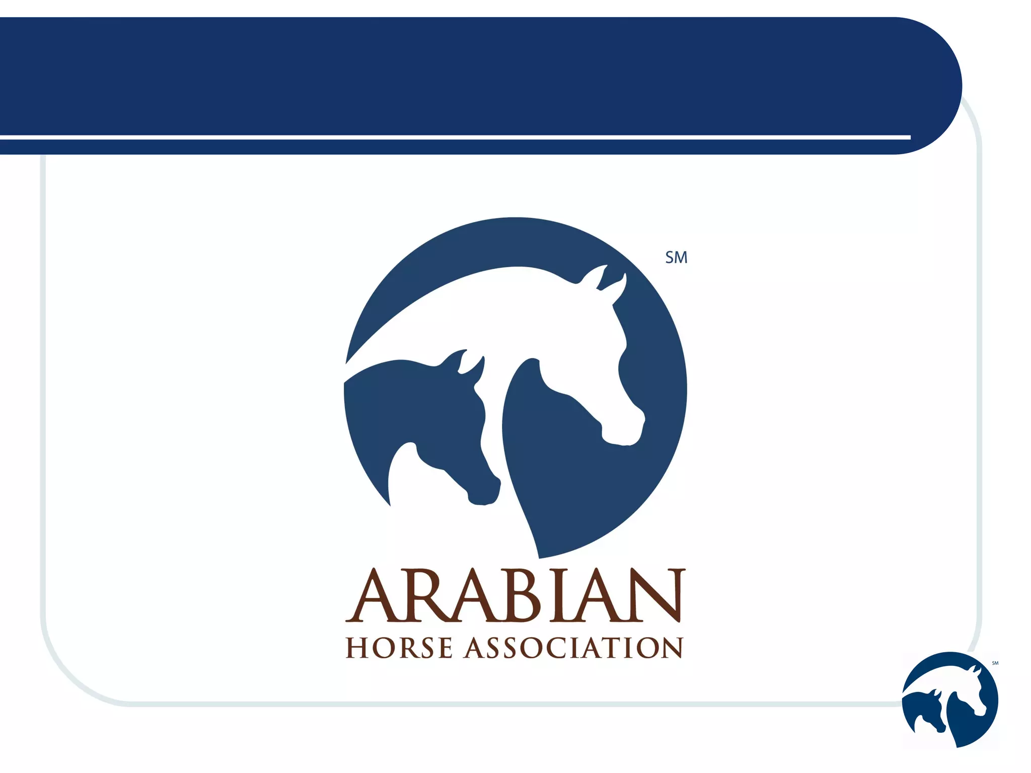 Ms. Debbie Fuentes - Arabian Horse Association Perspective Equine ...