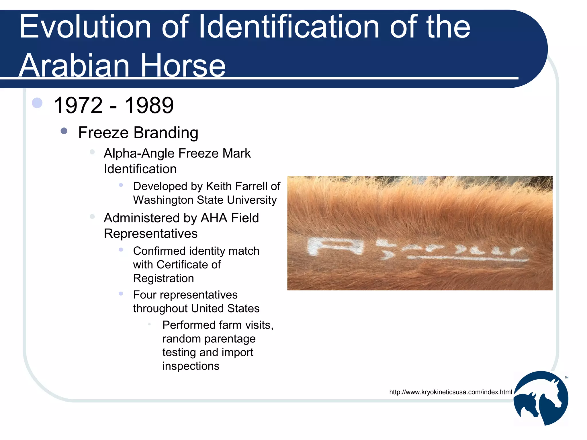 Ms. Debbie Fuentes - Arabian Horse Association Perspective Equine ...