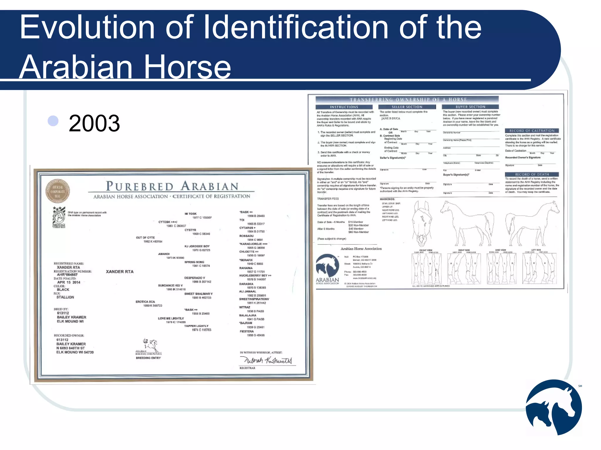 Ms. Debbie Fuentes - Arabian Horse Association Perspective Equine ...