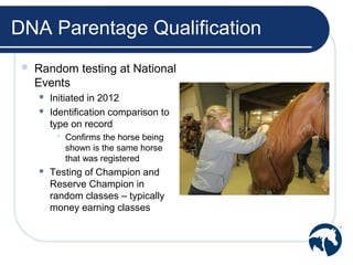 Ms. Debbie Fuentes - Arabian Horse Association Perspective Equine ...