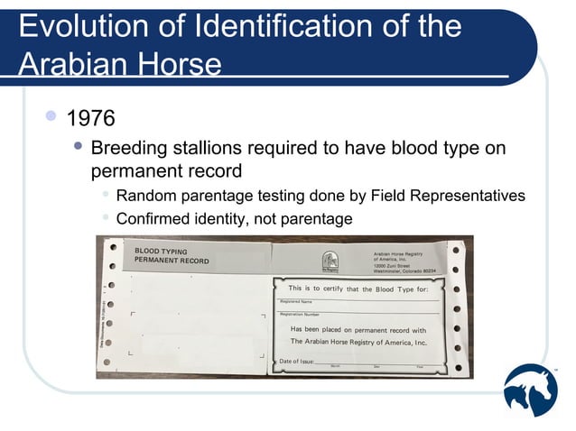 Ms. Debbie Fuentes - Arabian Horse Association Perspective Equine ...