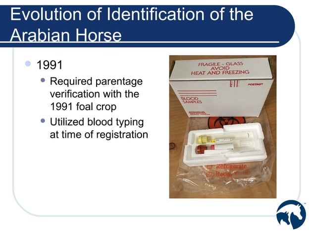 Ms. Debbie Fuentes - Arabian Horse Association Perspective Equine ...