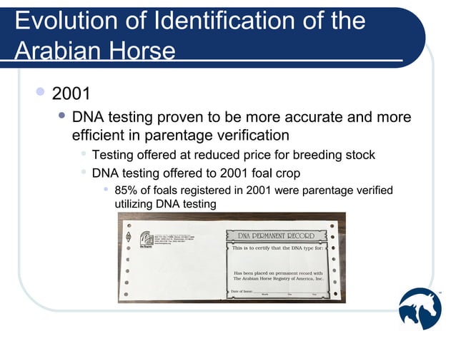 Ms. Debbie Fuentes - Arabian Horse Association Perspective Equine ...