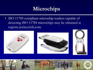 Mr. Matt Iuliano - Jockey Club Perspective on Equine Identification | PPT