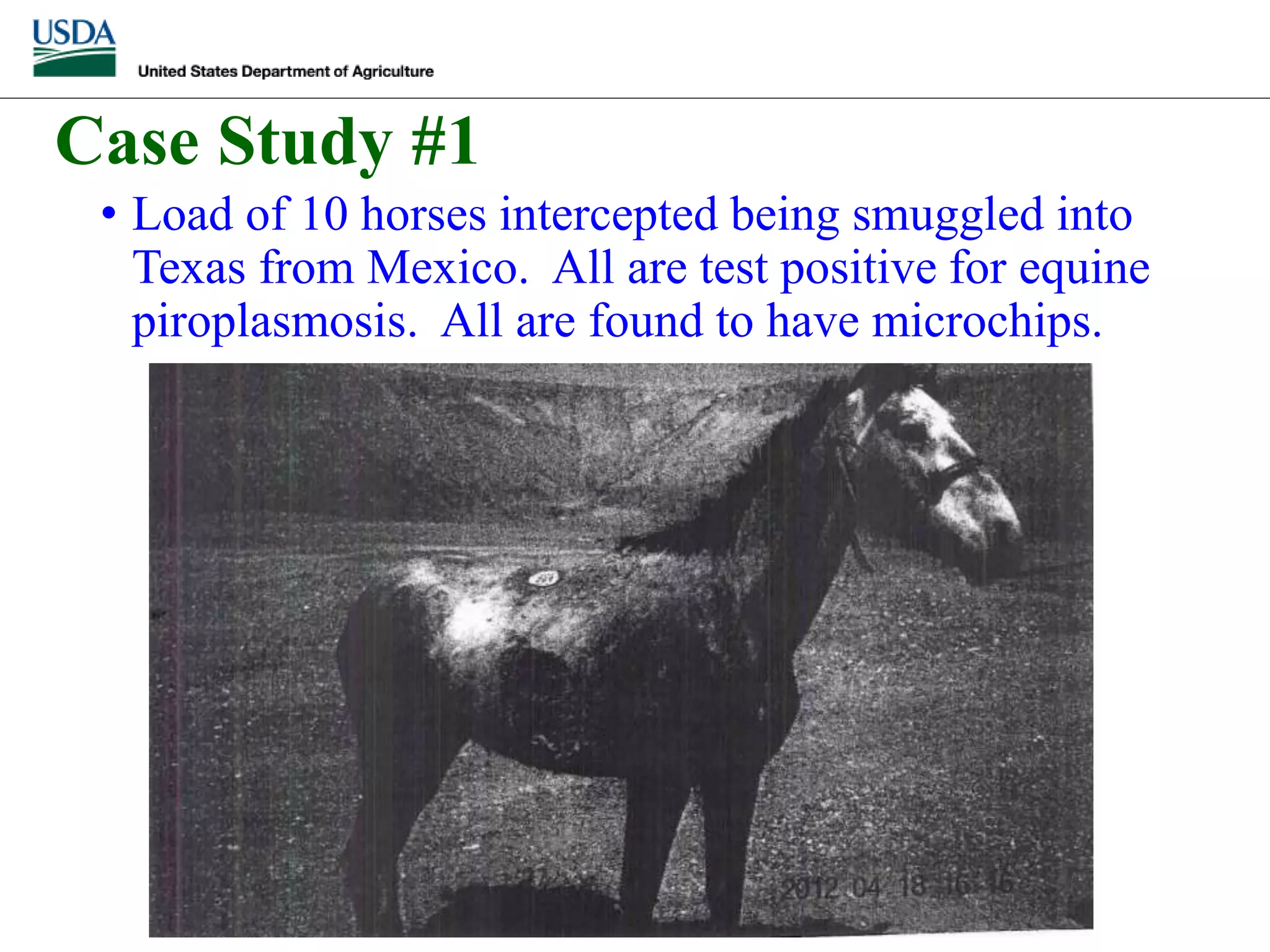 Dr. Angela Pelzel-McCluskey - Traceability of Equine Microchips | PPT ...