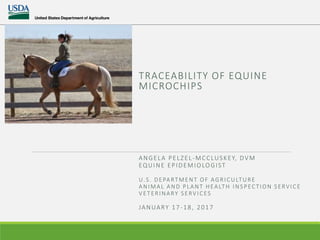 Dr. Angela Pelzel-McCluskey - Traceability of Equine Microchips | PPTX