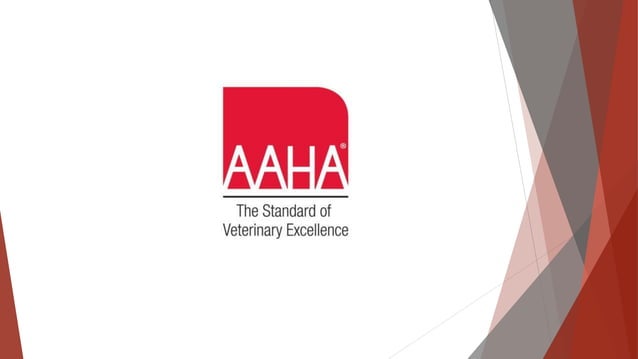 Katherine Wessels - AAHA Model - A Microchip Search Tool | PPT