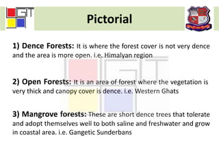 Forest Resources | PPTX