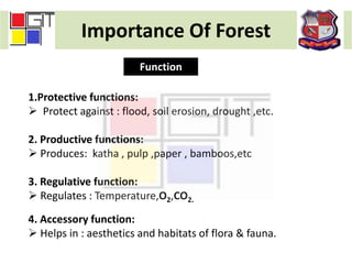 Forest Resources | PPT