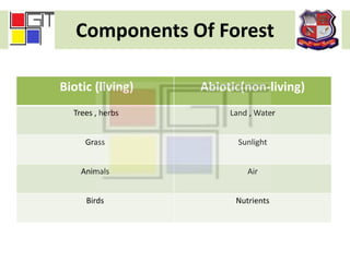 Forest Resources | PPT