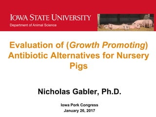 Dr. Nick Gabler - Evaluation of Antibiotic Alternatives for Nursery ...