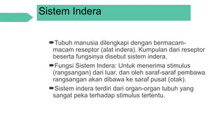 Sistem Indera (mata dan telinga) buat adukasi | PPTX