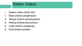 Sistem Indera (mata dan telinga) buat adukasi | PPTX
