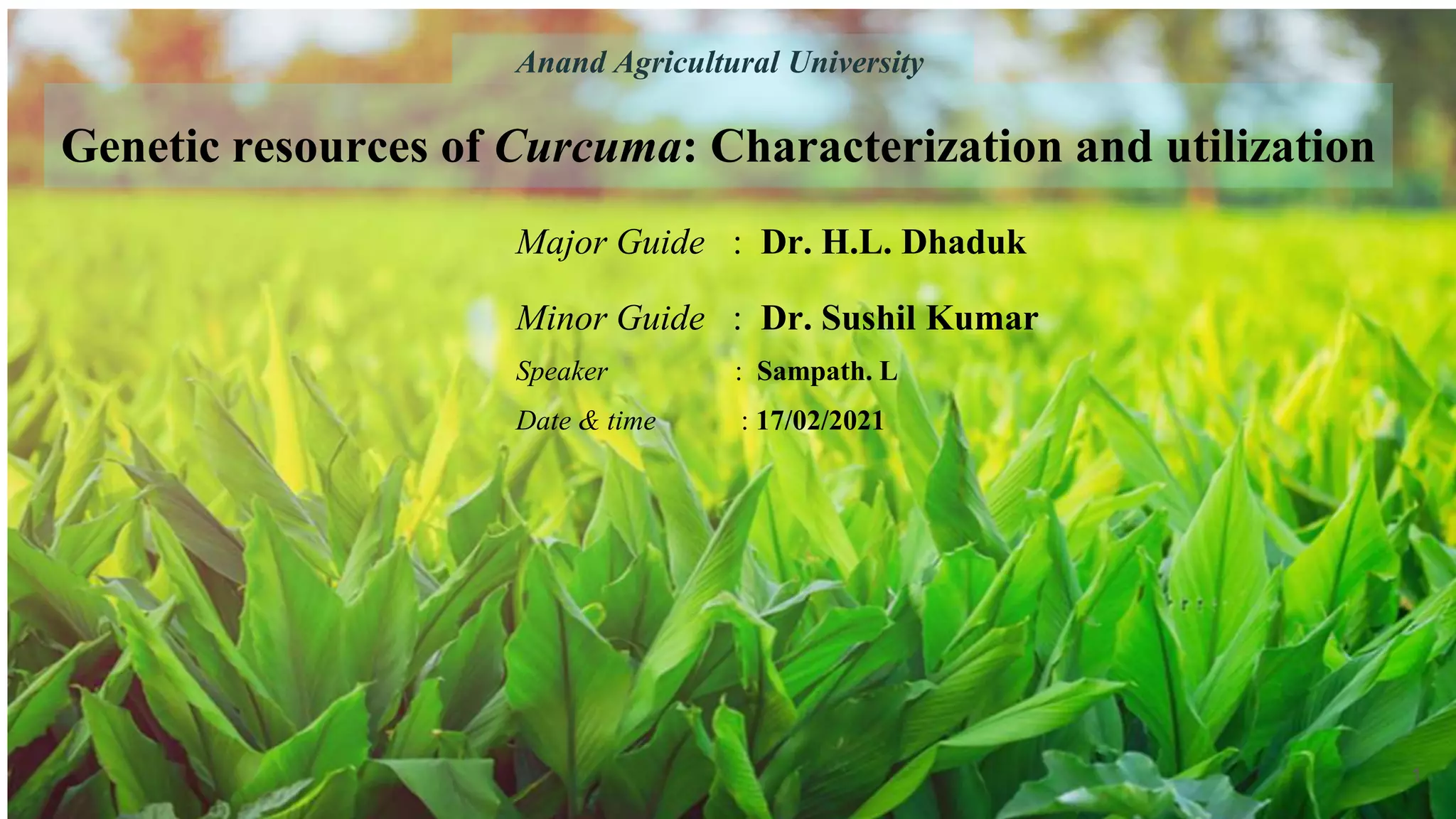 Genetic diversity of turmeric ( curcuma longa) | PPT