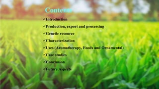 Genetic diversity of turmeric ( curcuma longa) | PPTX