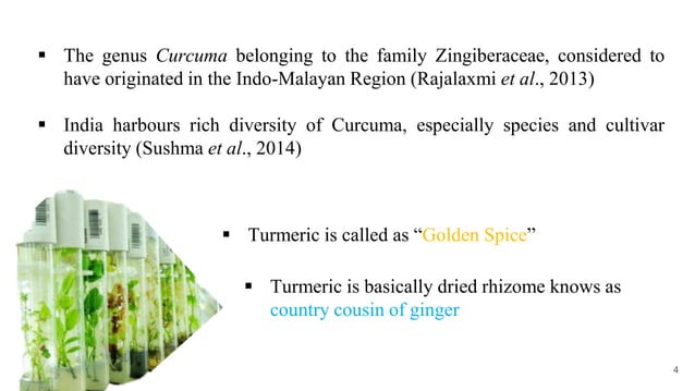 Genetic diversity of turmeric ( curcuma longa) | PPT