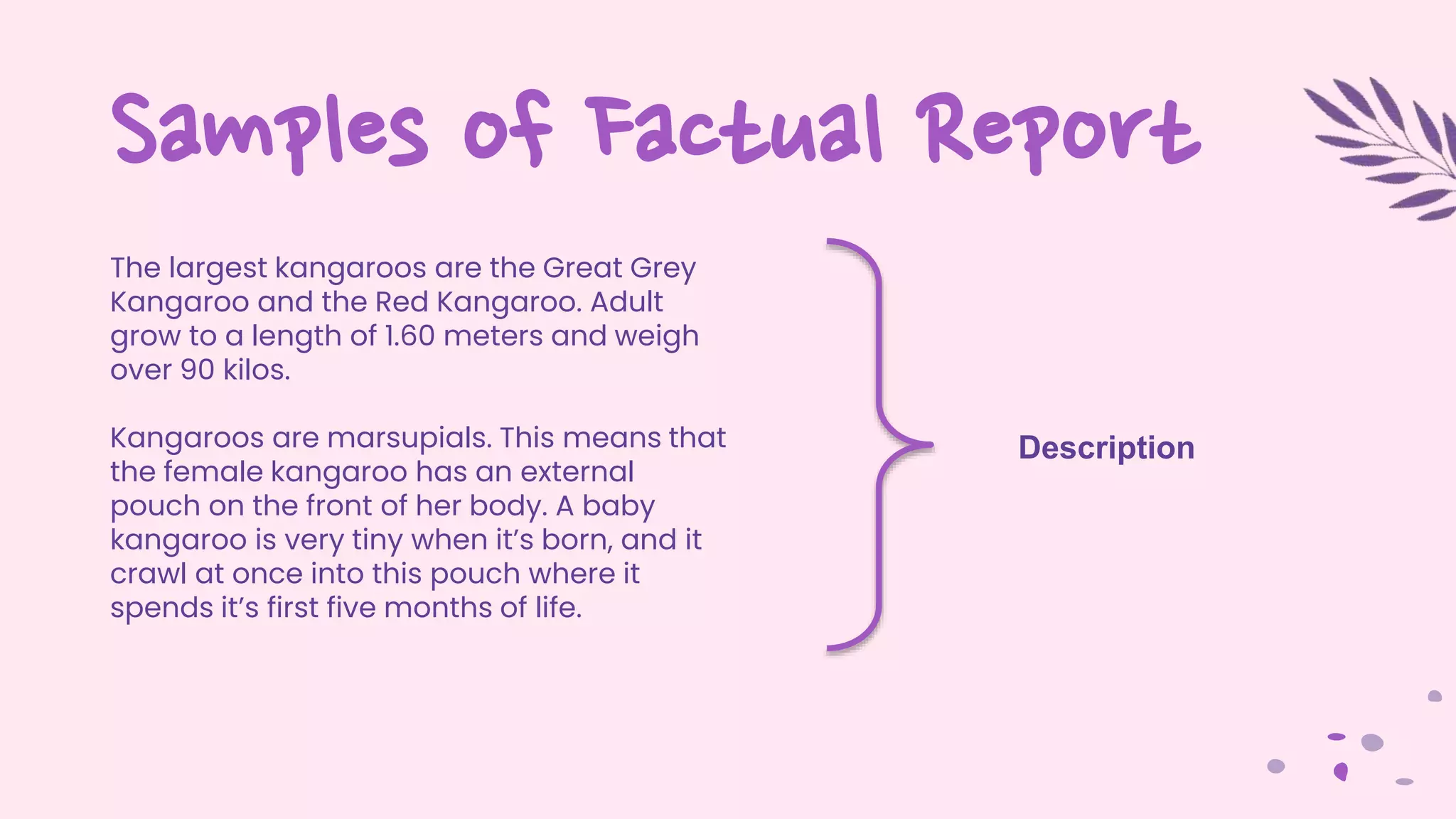 [170221] B. INGGRIS ppt Factual Report.pptx