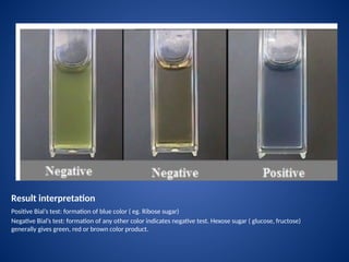 Bial's and Seliwanoff's testing Clincal chemistry | PPTX