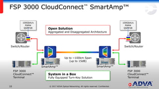 Direct Detect Optical Layer for Ultimate DCI Flexibility | PPT