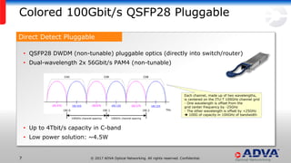 Direct Detect Optical Layer for Ultimate DCI Flexibility | PPT