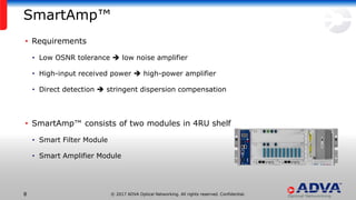 Direct Detect Optical Layer for Ultimate DCI Flexibility | PPT