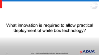 White Box Optics: Will It Kill or Encourage Innovation? | PDF