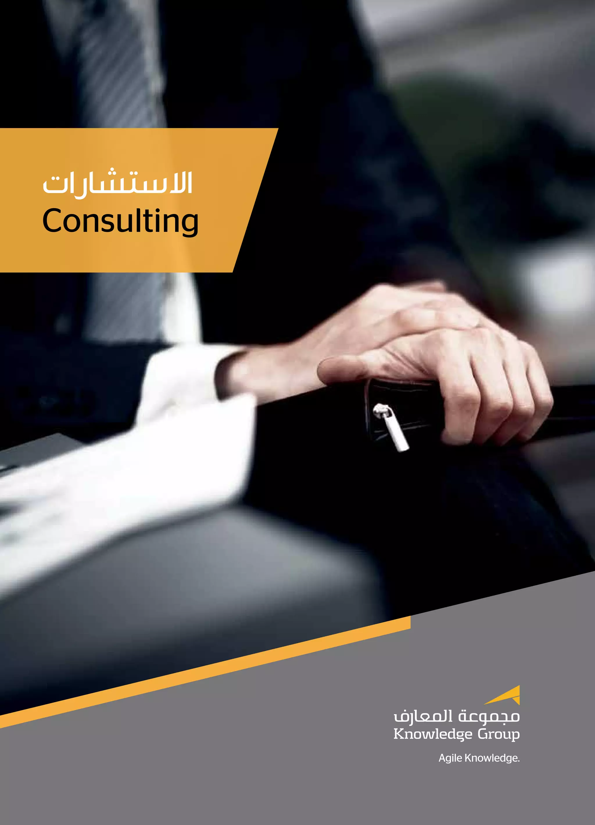 Consulting Brochure | PDF