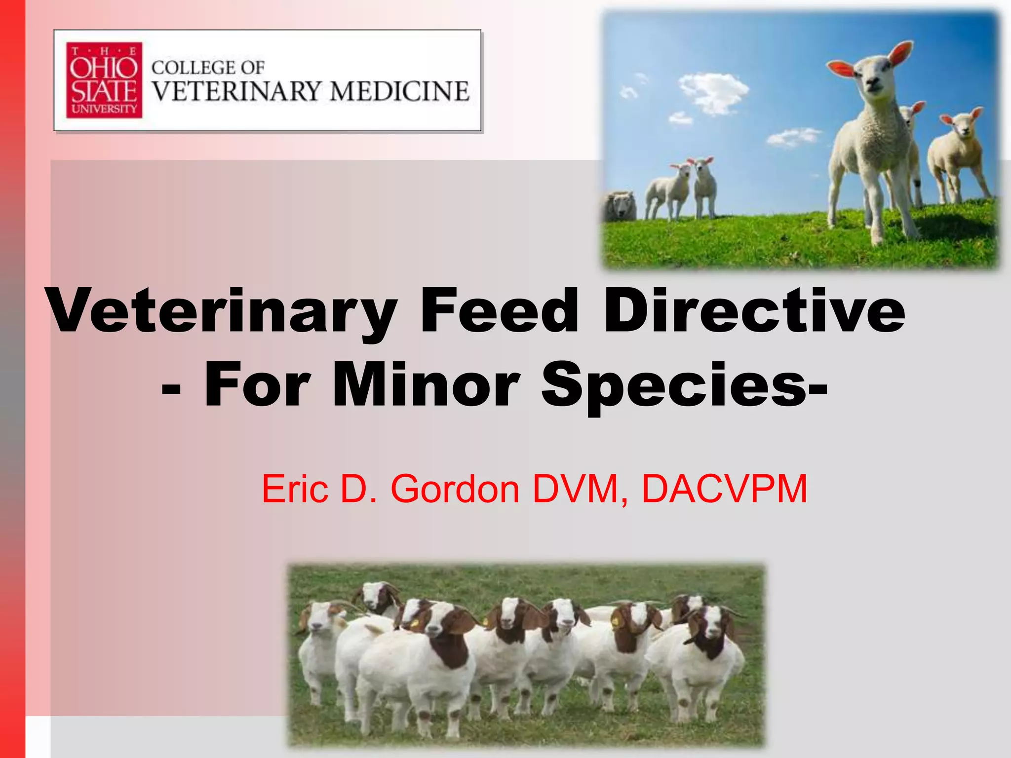 Dr. Eric Gordon - Discussion on the Veterinary Feed Directive ...