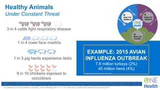 Dr. Matthew J. Salois - One Health, Working together to safeguard ...