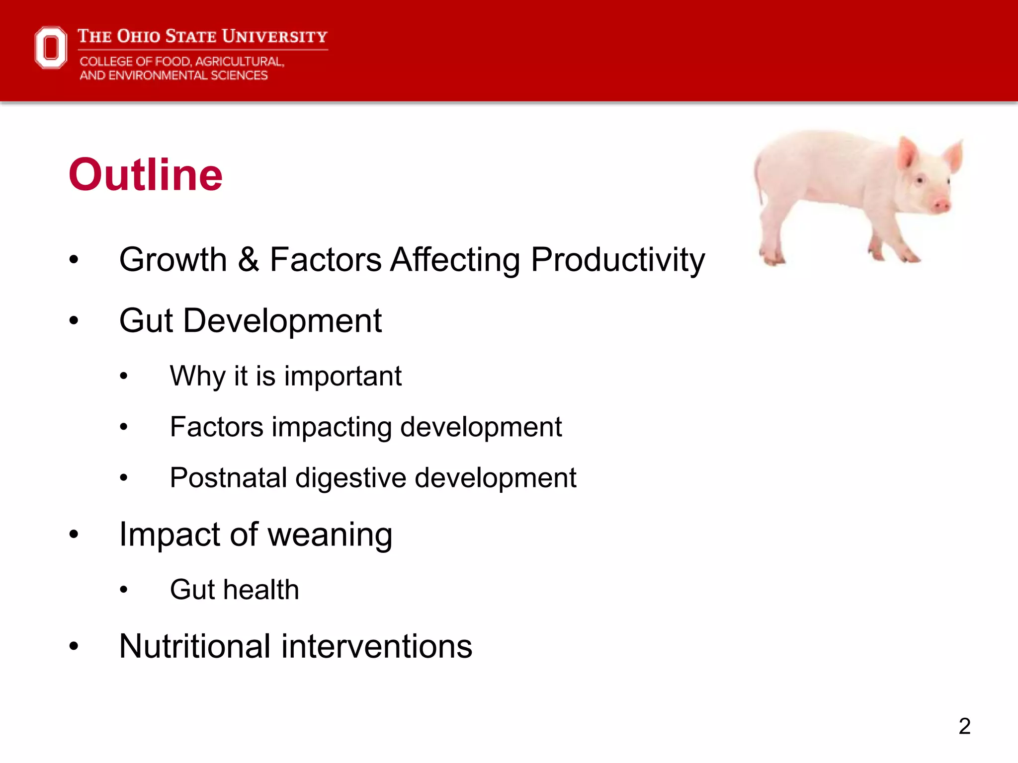 Dr. Sheila Jacobi - Discussion: Swine Gut Health | PPTX